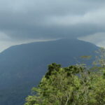 From Huatulco: Coffee and Mezcal Tour - Practical Details and Value