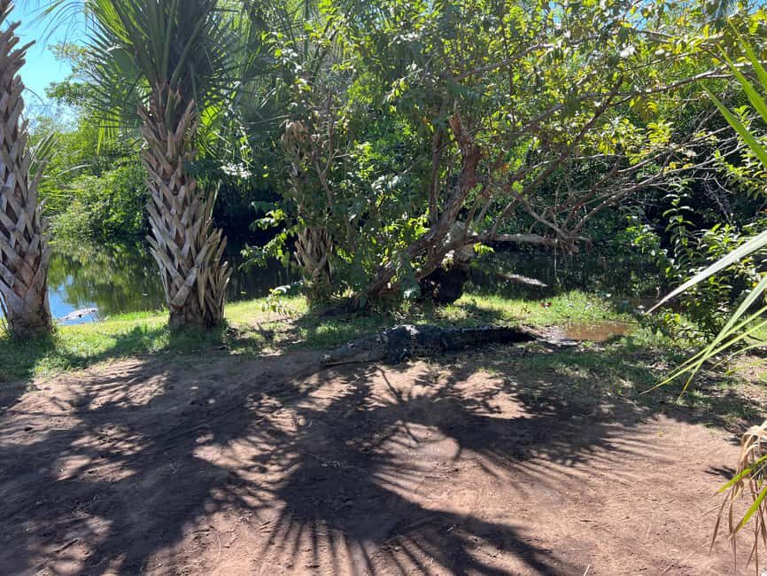 From Huatulco: Crocodile and Turtle Eco-Tour - FAQs