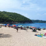 From Huatulco: Snorkel and La Entrega Beach Visit - Is it Worth the Price?