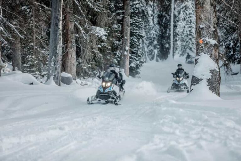 From Jackson: Yellowstone Grand Canyon Snowmobile Tour - What’s Included & What to Bring