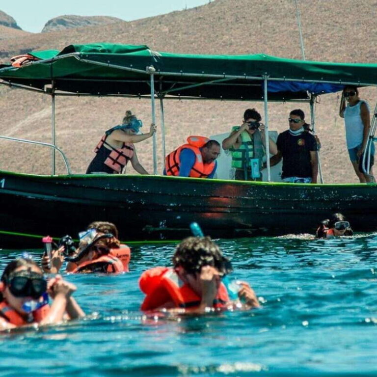 From La Paz: Espíritu Santo Island Tour all inclusive - Value and Practical Aspects