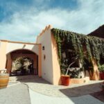 From La Playa: Vineyard Tour w/ Tasting & Todos Santos Stop - The Itinerary: What to Expect