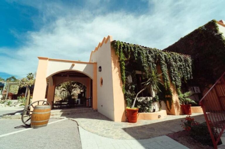 From La Playa: Vineyard Tour w/ Tasting & Todos Santos Stop - The Itinerary: What to Expect