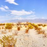 From Las Vegas: Ghost Town Wild West Adventures Day Trip - Who Will Love This Tour?