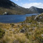 From Launceston: Sheffield Murals & Cradle Mountain Day Tour - Detailed Breakdown of the Itinerary