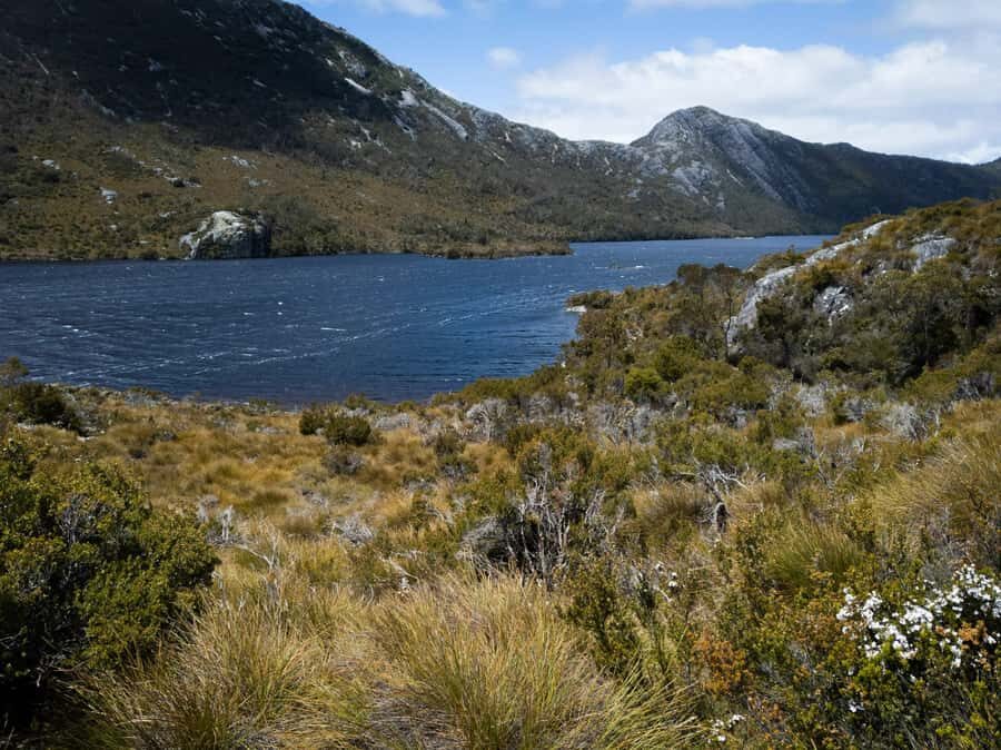 From Launceston: Sheffield Murals & Cradle Mountain Day Tour - Detailed Breakdown of the Itinerary