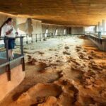 From Longreach: Outback Winton Full Day Tour - What Makes This Tour Stand Out