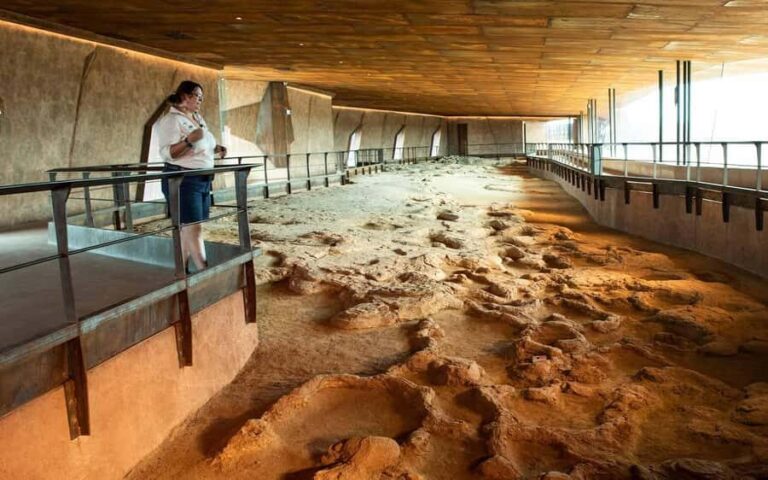 From Longreach: Outback Winton Full Day Tour - What Makes This Tour Stand Out