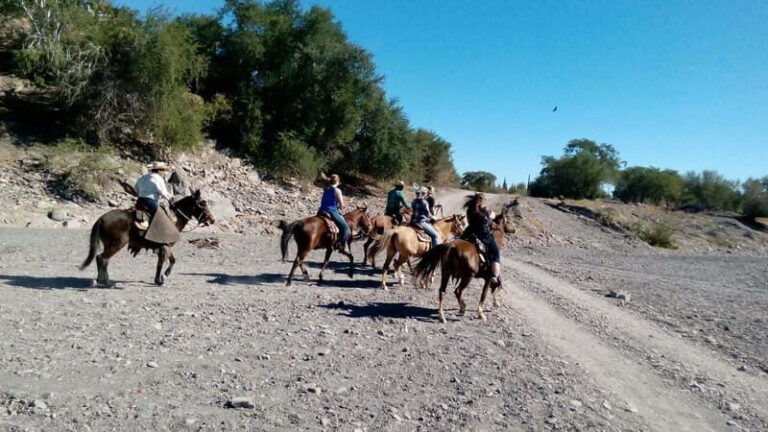 From Loreto: Baja Desert Horseback Riding Tour - The Itinerary: What to Expect From Start to Finish