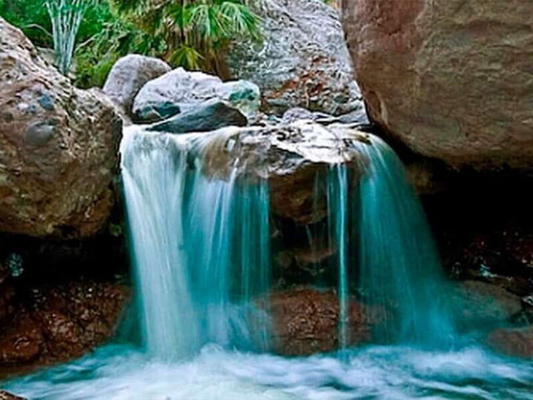 From Loreto: Tabor Canyon Guided Hike - Wildlife, Flora, and Educational Insights