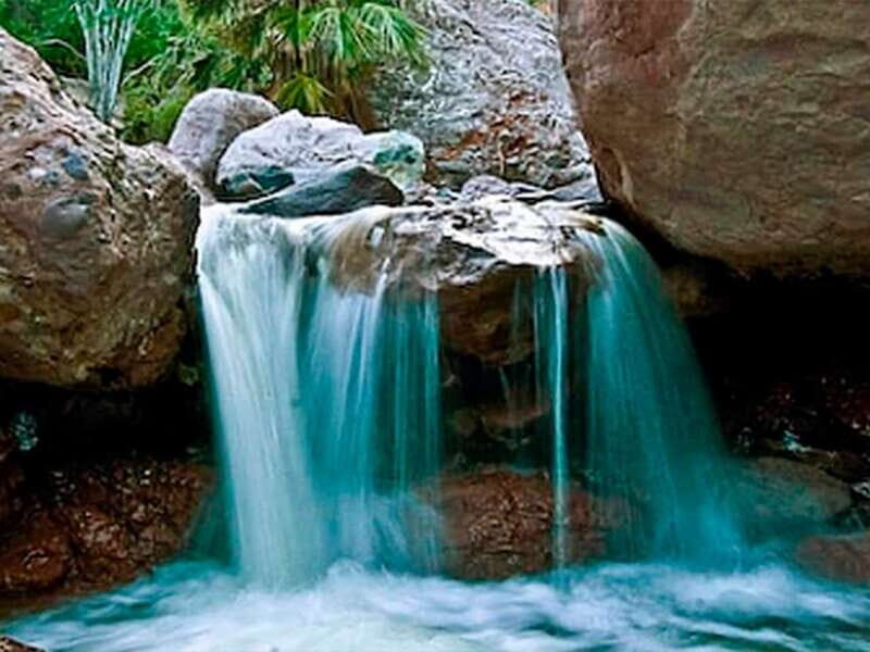 From Loreto: Tabor Canyon Guided Hike - Wildlife, Flora, and Educational Insights