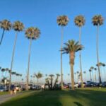 From Los Angeles Full Day Private Orange County Beach Cities Tour - Final Thoughts