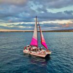 From Maalaea: Whale Watching Catamaran Cruise with Drinks - The Experience: What You Will Love and What to Consider