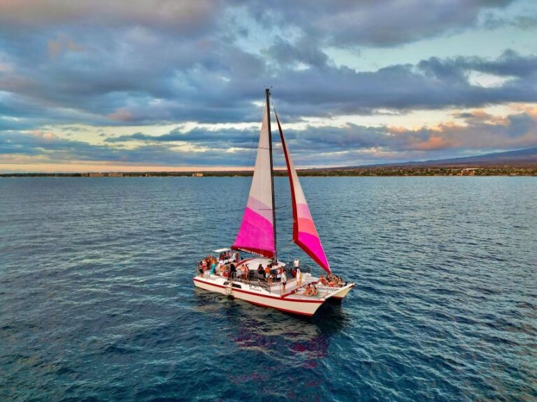 From Maalaea: Whale Watching Catamaran Cruise with Drinks - The Experience: What You Will Love and What to Consider