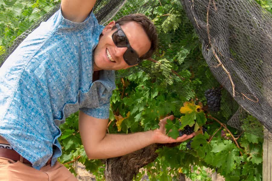 From Margaret River: Margaret River Wine Adventure - The Itinerary in Detail: What to Expect on Your Day