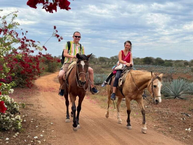 From Mazatlan: ATV & Horse Back riding with Tequila Tasting - Breaking Down the Itinerary