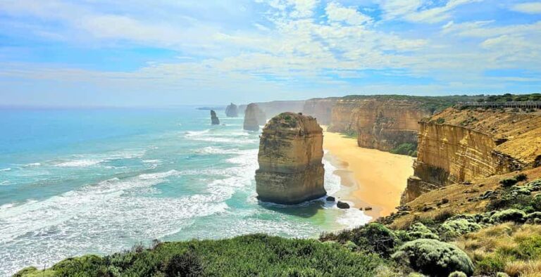 From Melbourne: Great Ocean Road, Dingos, Sparkling & Lunch - Wildlife Encounters at the Sanctuary
