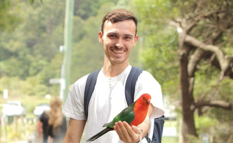 From Melbourne: Great Ocean Road Full-Day Guided Trip - Transportation, Group Size, and Comfort