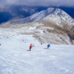 From Melbourne: Mt Buller Scenic Snow Getaway Day Tour - Why This Tour Offers Real Value