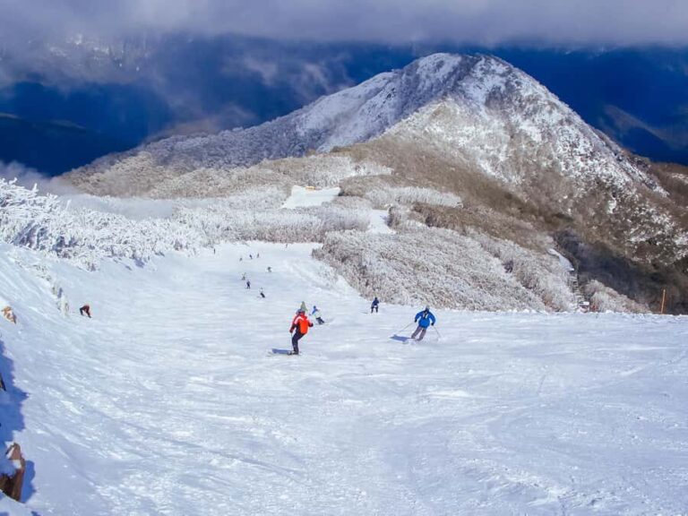 From Melbourne: Mt Buller Scenic Snow Getaway Day Tour - Why This Tour Offers Real Value