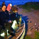 From Melbourne: Penguin Parade Afternoon Tour - The Journey Back and Practical Details