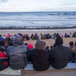 From Melbourne: Penguin Parade, Koalas & Kangaroos - Deep Dive: Why Each Stop Matters