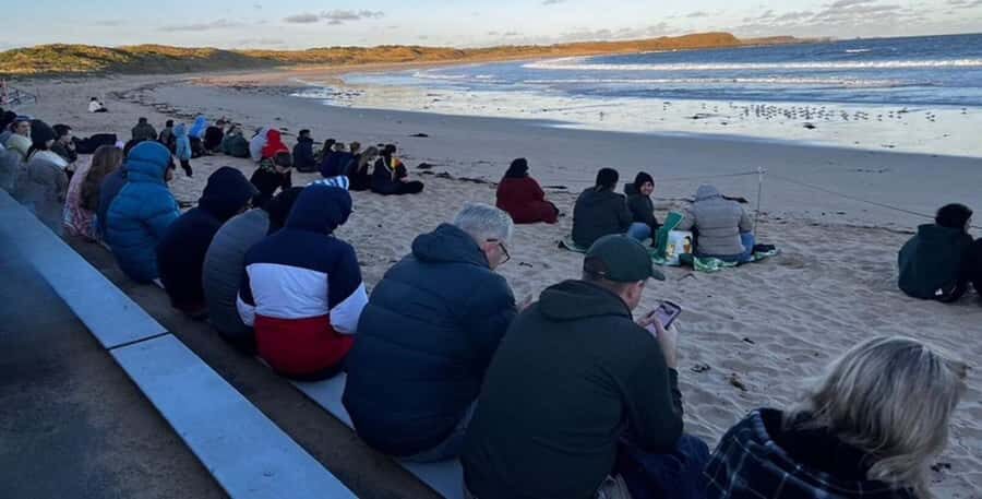 From Melbourne: Phillip Island Penguin & Nature Day Tour - Final Thoughts