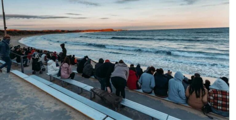 From Melbourne: Phillip Island Penguin Parade Private Tour - A Detailed Breakdown of the Itinerary