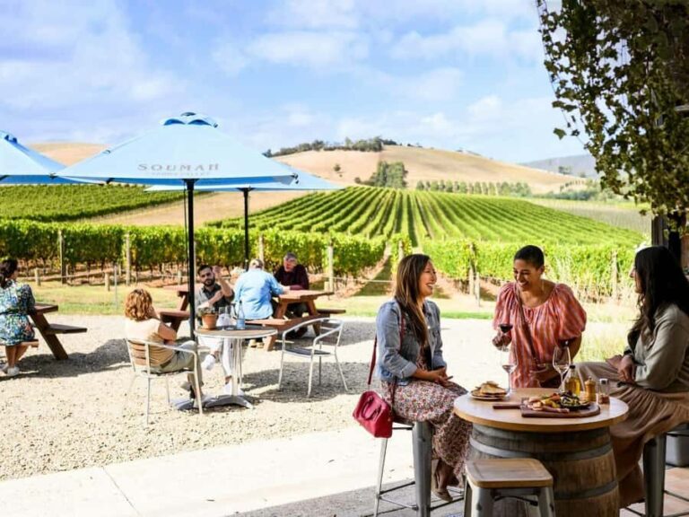 From Melbourne: Redwoods Forest & Yarra Valley Wine Tour - Exploring the Redwoods Forest in Melbourne