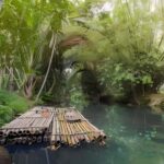 From Merida: Beach, Mangrove and something more - Exploring the Tour Itinerary in Detail