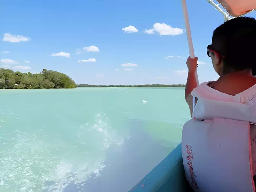 From Merida: Celestun, flamingos and beach - An in-depth look at the tour experience