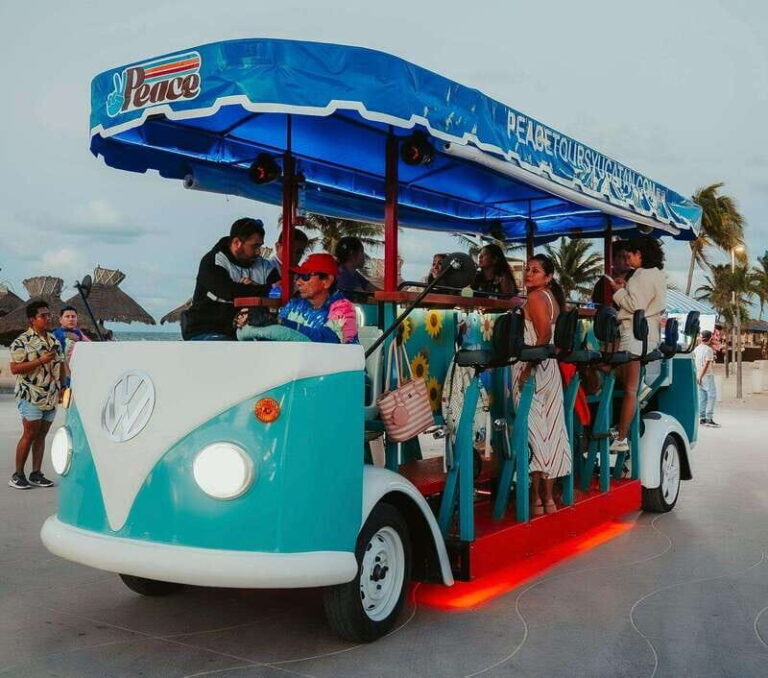 From Mérida: Guided Beach Club and Beer Tour - Who Will Love This Experience?