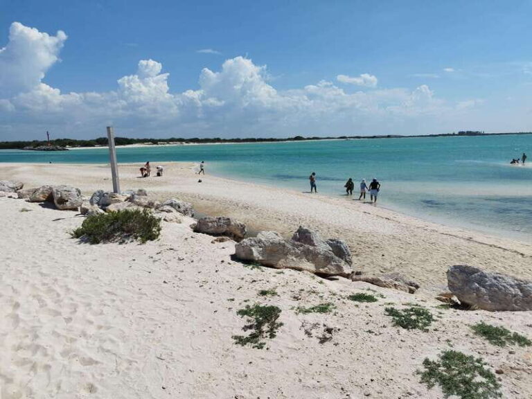 From Merida: Isla Columpios & Progreso - What Travelers Love About This Tour