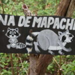 From Merida: Transfer to Celestun and Sisal - The Practicalities: What’s Included and What’s Not