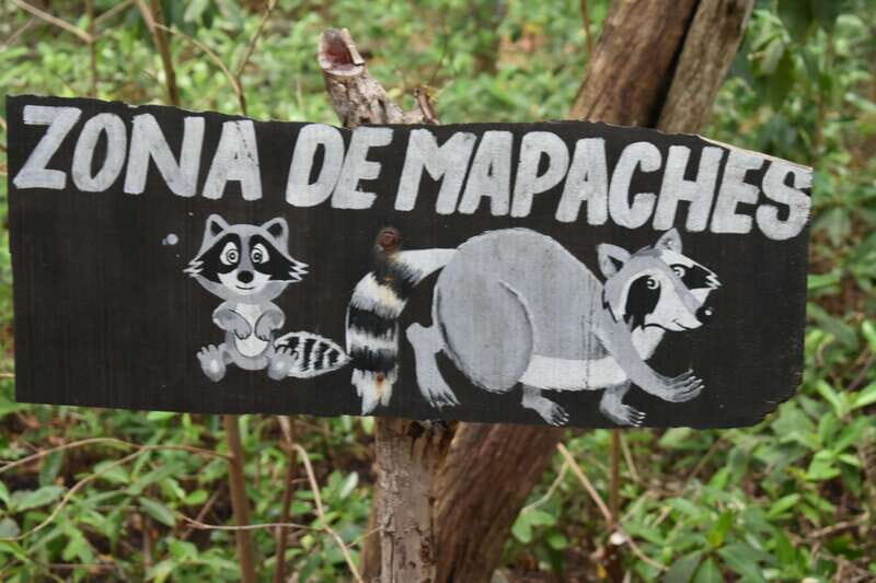 From Merida: Transfer to Celestun and Sisal - The Practicalities: What’s Included and What’s Not