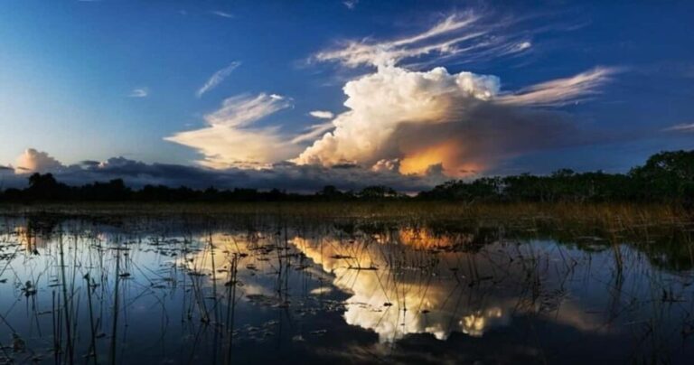 From Miami: Everglades at Night with Guided Airboat Tour - Final Thoughts: Why This Tour Offers Value and Unique Experiences