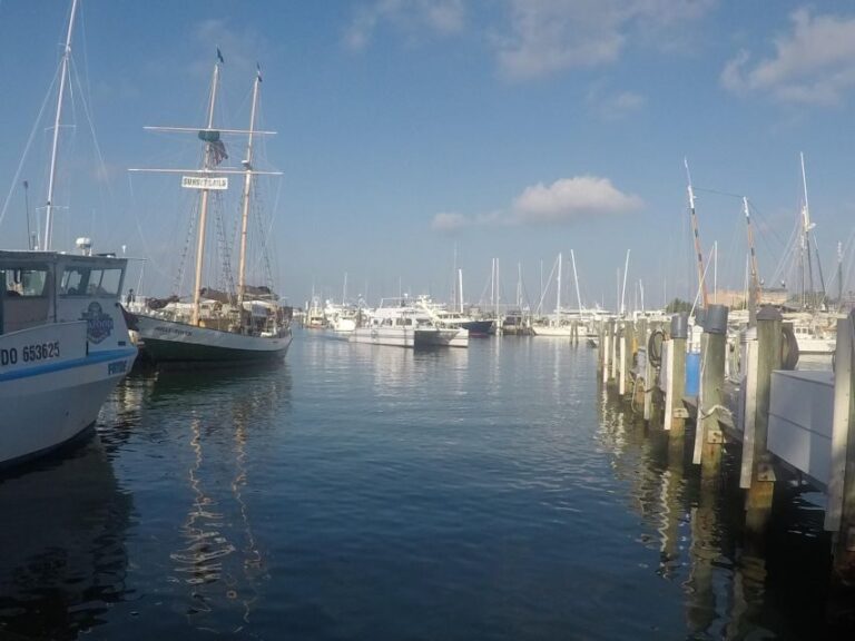 From Miami: Key West Day Trip with Pickup at Selected Hotels - Arrival in Key West: Your Six Hours to Explore