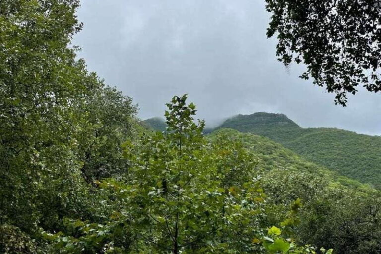 From Monterrey: Santiago Guided Half-Day Experience - What to Expect and Practicalities