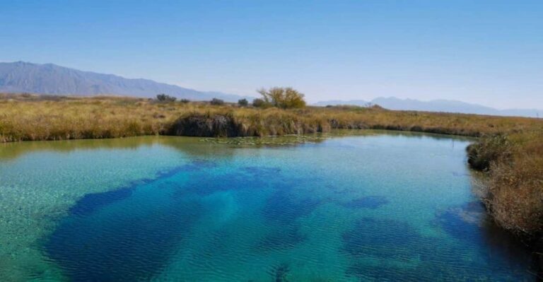 From Monterrey: Tour a Cuatro Ciénegas one day tour - Who Is This Tour Best For?