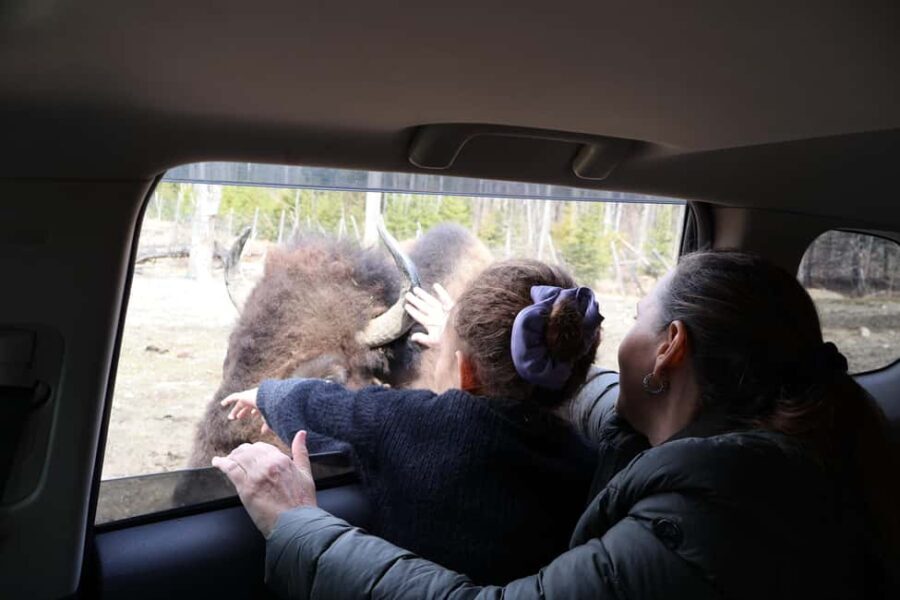 From Montreal: Omega Park Wildlife Safari Calling Sounds - Ethical Feeding and Responsible Wildlife Observation