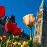 From Montreal: Private Ottawa Full Day Tour - The Sum Up