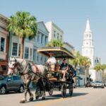 From Myrtle Beach: Charleston Day Trip, Boone Hall & Cruise - What Travelers Say About This Tour