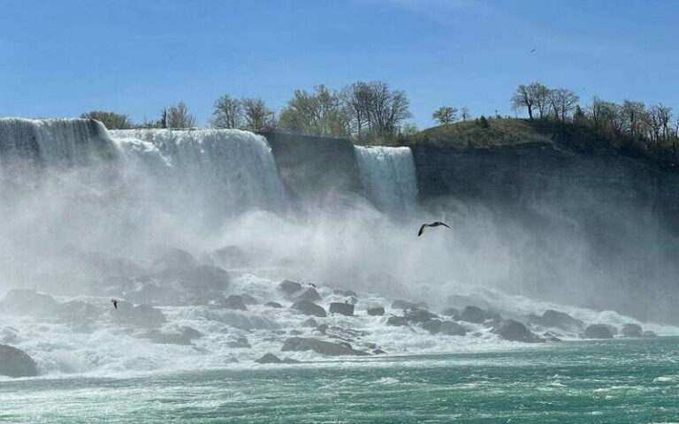From Niagara Falls Canada Tour Boat, Lunch, Journey, Skylon - The Value of This Tour