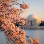 From NYC: Niagara Falls, Washington DC and Boston 4-Day Trip - What Travelers Say About This Tour