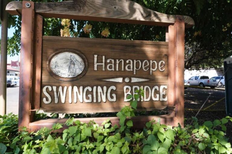 From Oahu: Kauai Waimea Canyon and Koke'e Adventure Tour - What’s Included — and What’s Not?