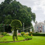 From Oaxaca: City, Mitla, and Mezcal Factory Tour - Transport, Duration, and Cost