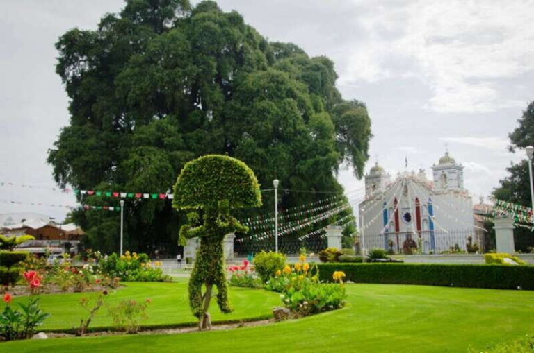 From Oaxaca: City, Mitla, and Mezcal Factory Tour - Transport, Duration, and Cost