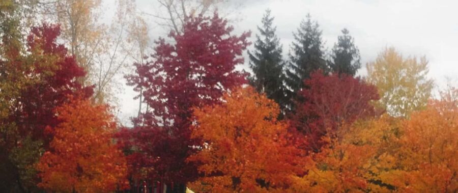 From Ottawa: Gatineau Park Fall Colors Guided Trip - What to Expect and Practical Details