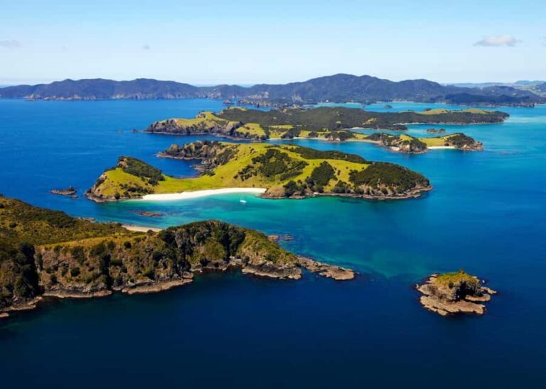 From Paihia: Hole in the Rock Cruise & Island Tour: 3 Hour - What Makes It Stand Out?