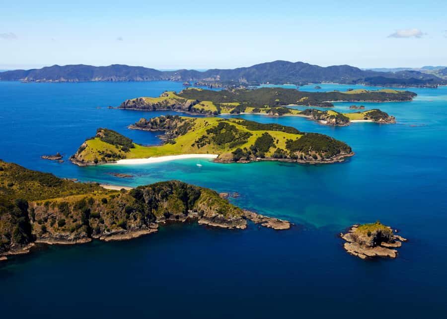 From Paihia: Hole in the Rock Cruise & Island Tour: 3 Hour - What Makes It Stand Out?